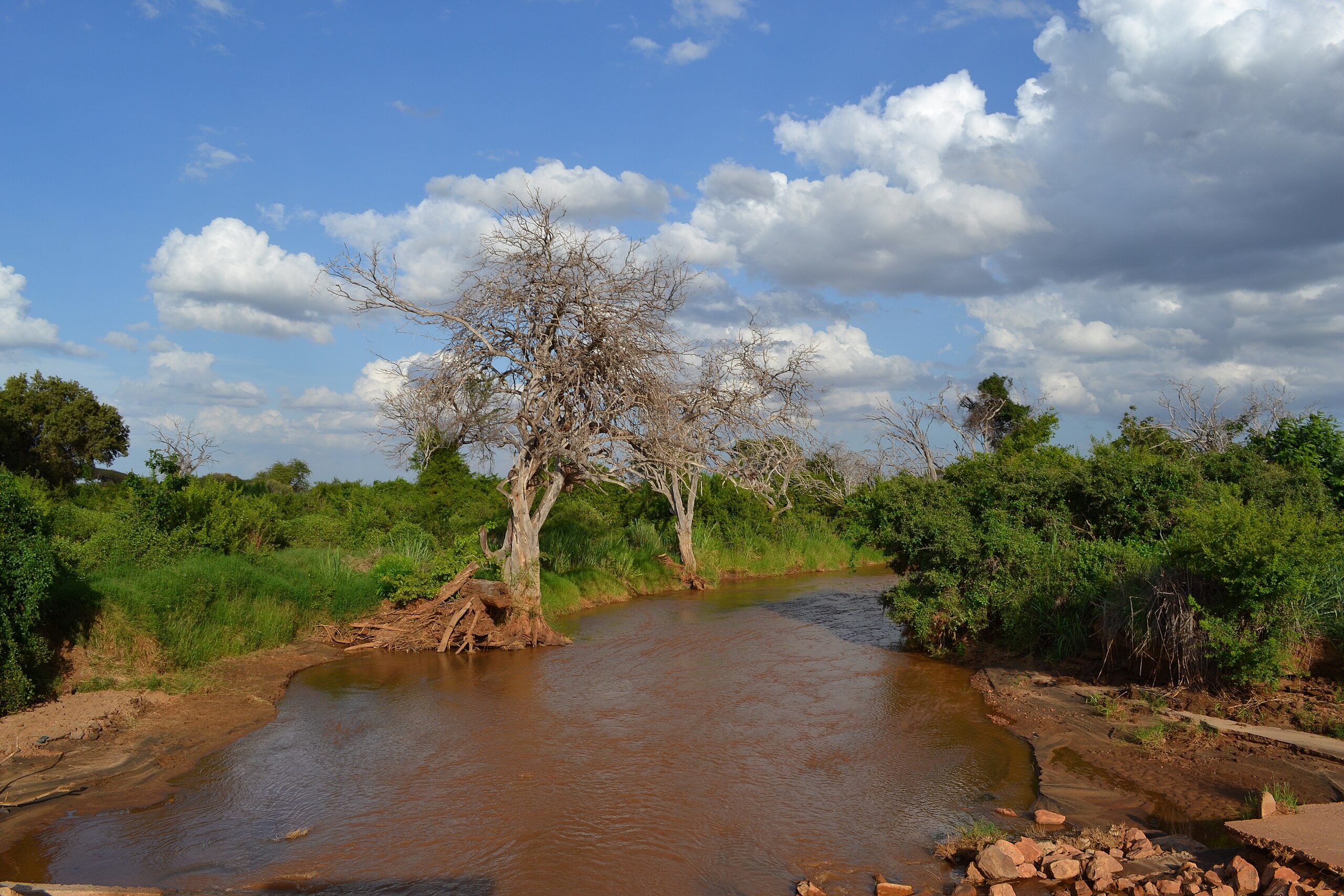Voi River Kenya | Source, Route & Role in Tsavo’s Ecosystem