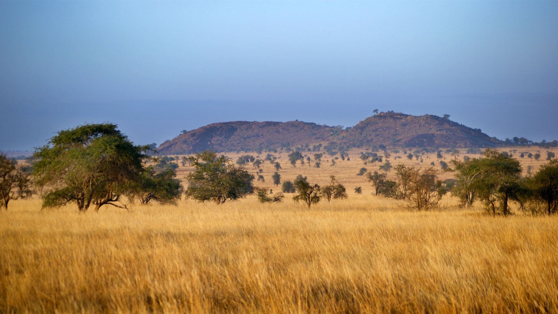 Walking Safaris Tsavo | Ranger-Guided Tours in Kenya